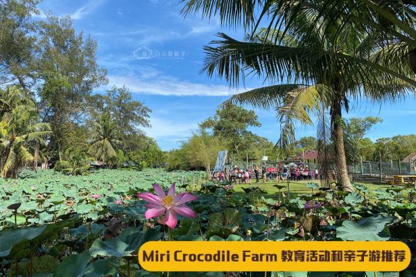 砂拉越美里旅游 · Miri 景点市集美食伴手礼活动